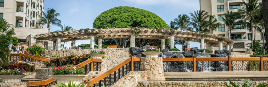 Landscape Consulting Services | Jeff Lee Landscaping